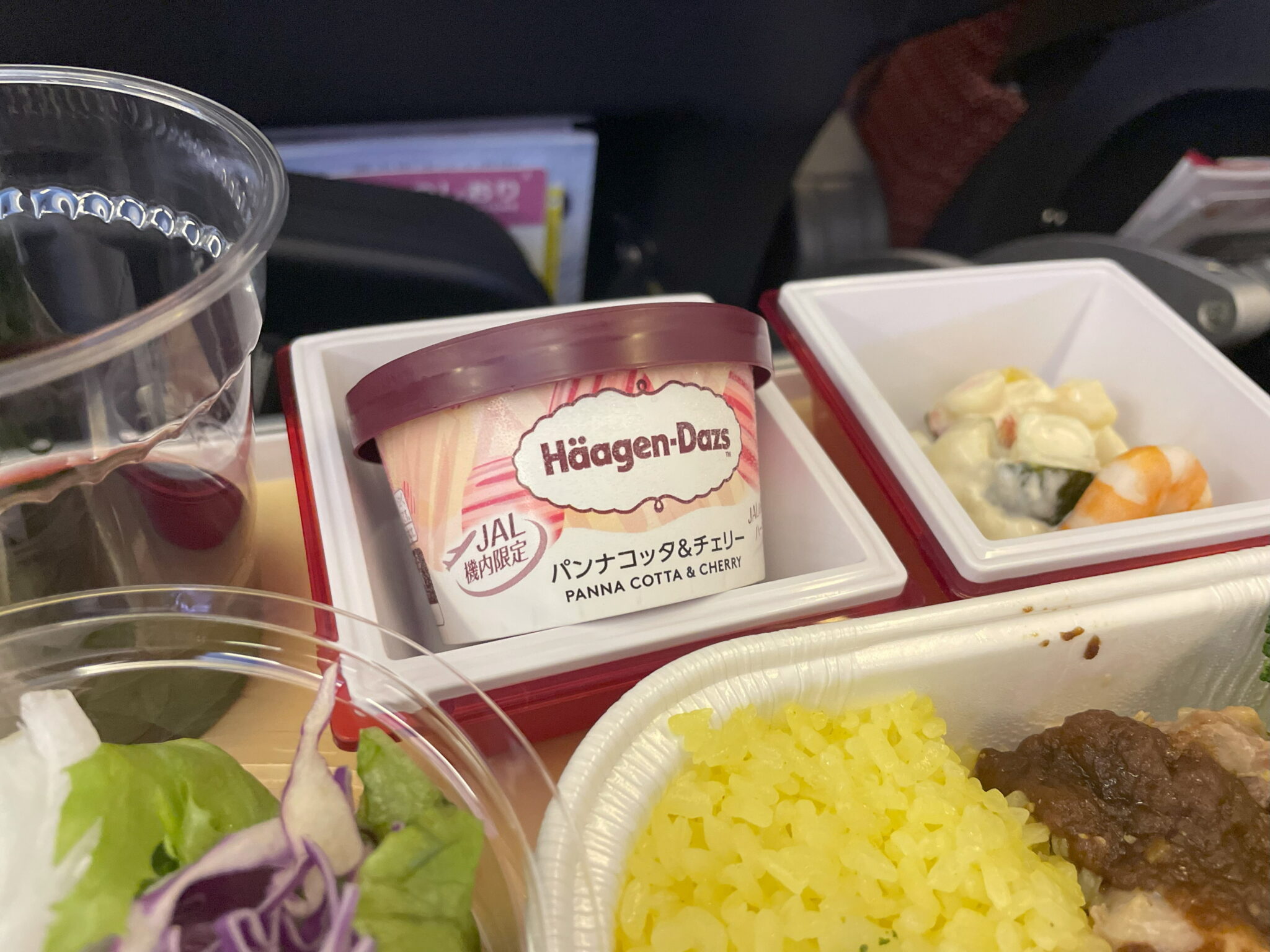 日本航空JL8663便 成田→台北 エコノミークラス搭乗記（2024.7.4） | 大きなやかん…なみあし日記 / Trip with Flights
